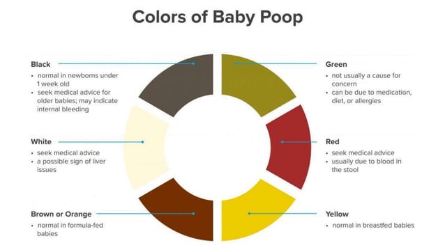 Acute Watery Diarrhea. Acute Watery Diarrhea. | PPTX | Digestive ...