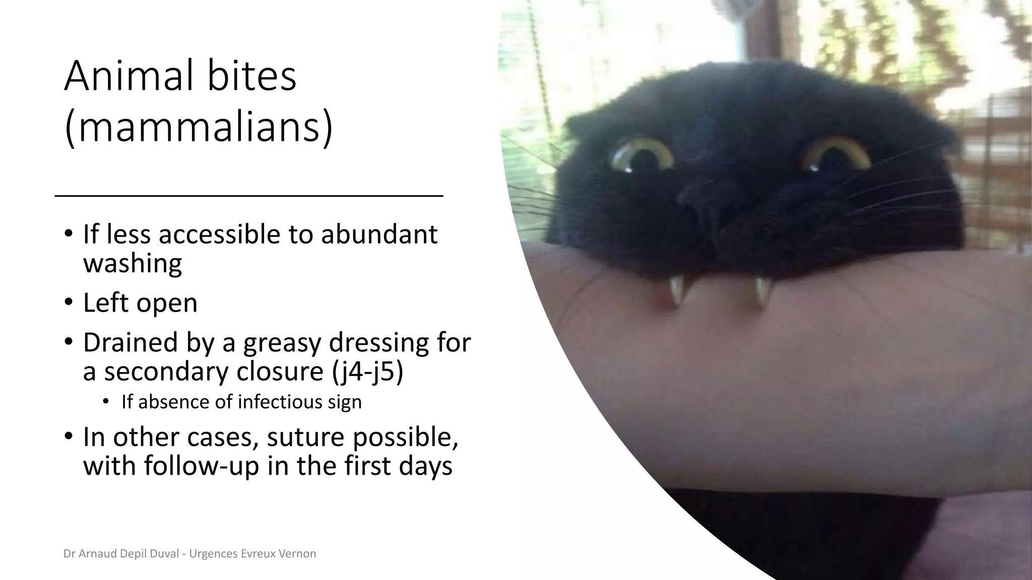 Acute & Traumatics wounds - Infectious risk | PPT