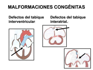 Bases biológicas para el estudio del cuerpo humano, sistema ...