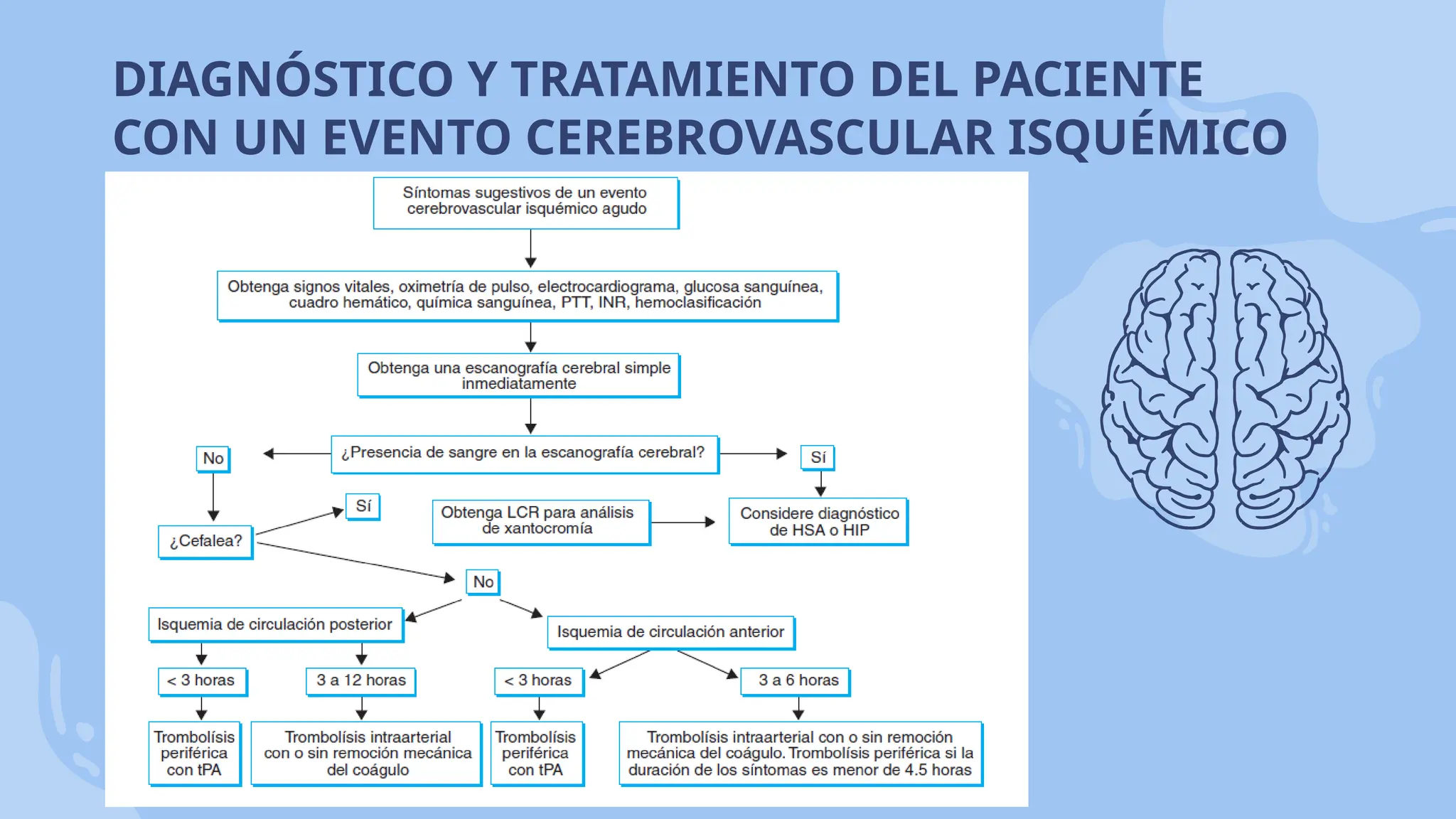accidente cerebrovascular isquemico - presentacion | PPTX