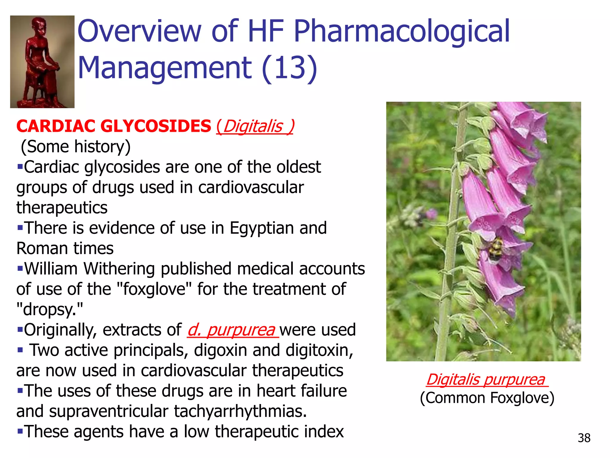 Pharmacology- Management of Heart Failure- w Updates | PDF