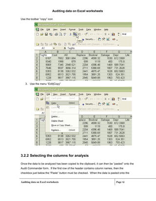 Audit Commander Worksheet Analyzer | PDF