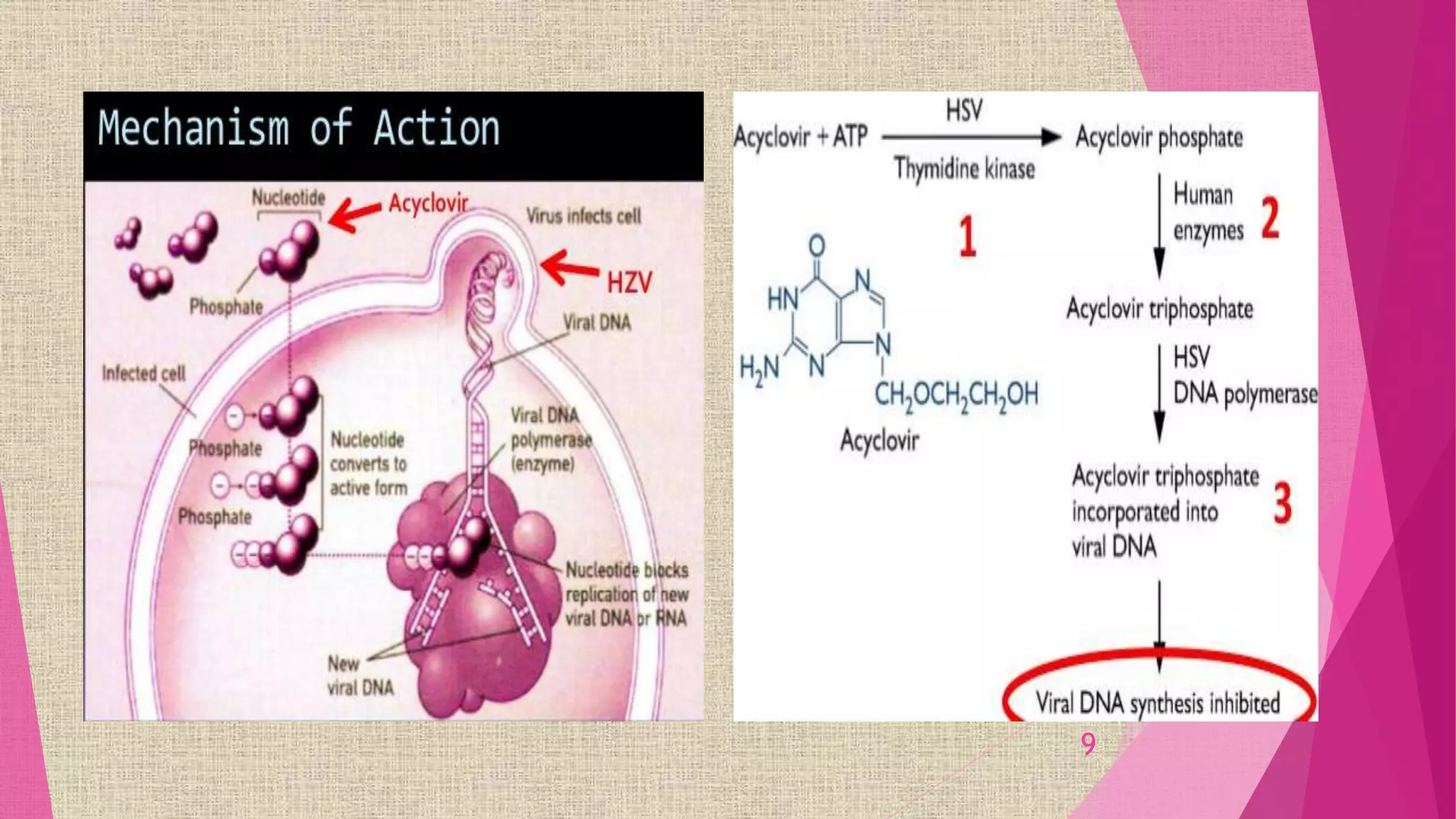 Acyclovir. pharmacology, Antiviral | PPTX