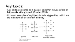 Modification of Acyl Lipids in Food Science | PDF