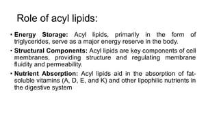 Modification of Acyl Lipids in Food Science | PDF