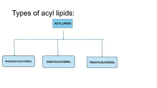 Modification of Acyl Lipids in Food Science | PDF