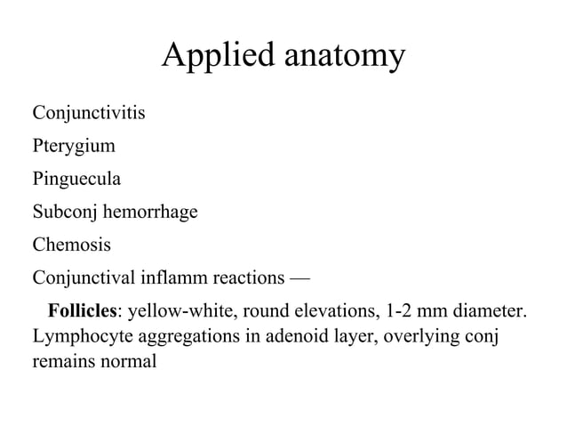 Ad Anatomy Of Conjunctiva Slides Presentation Docx