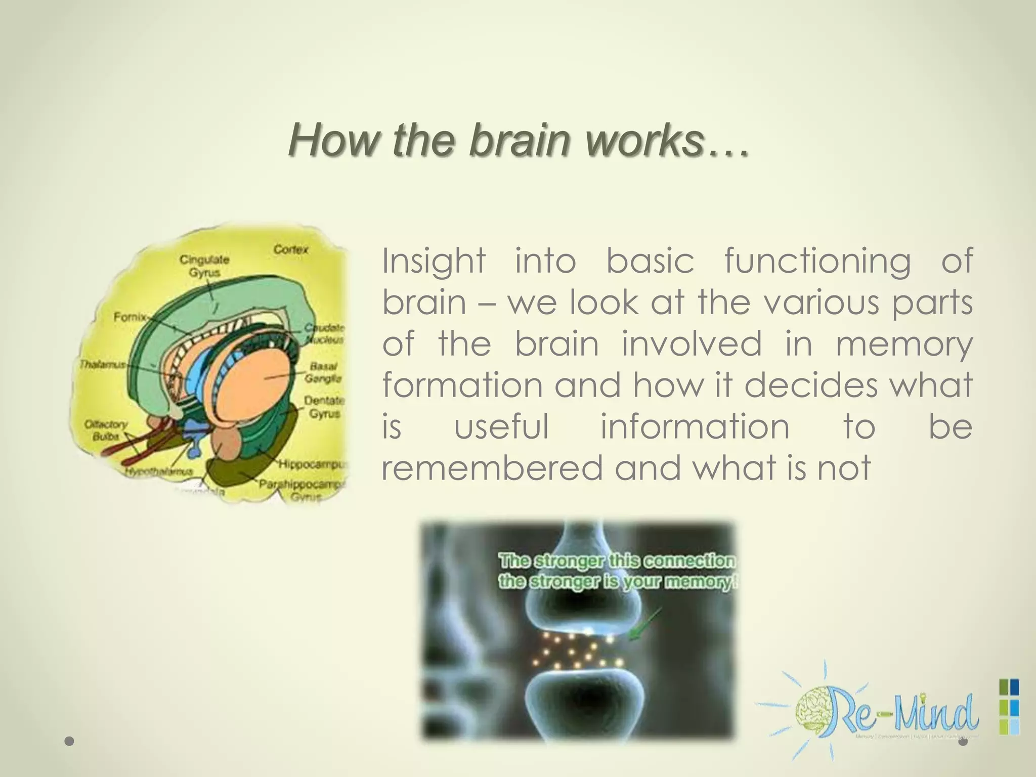 ReMind presentation 2014 | PPT