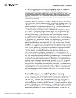 Replication Competent IAV and IBV with Timer Article.PDF