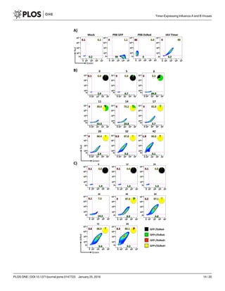 Replication Competent IAV and IBV with Timer Article.PDF
