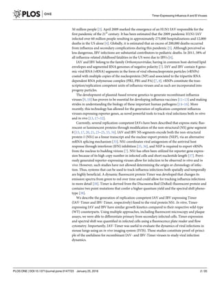 Replication Competent IAV and IBV with Timer Article.PDF