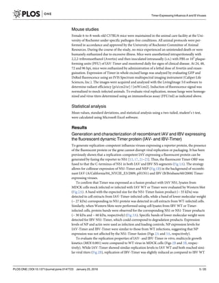 Replication Competent IAV and IBV with Timer Article.PDF