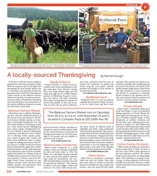 Uniquely Bellevue November | PDF
