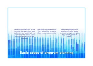 Program Planning | PDF