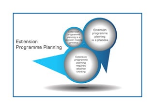 Program Planning | PDF