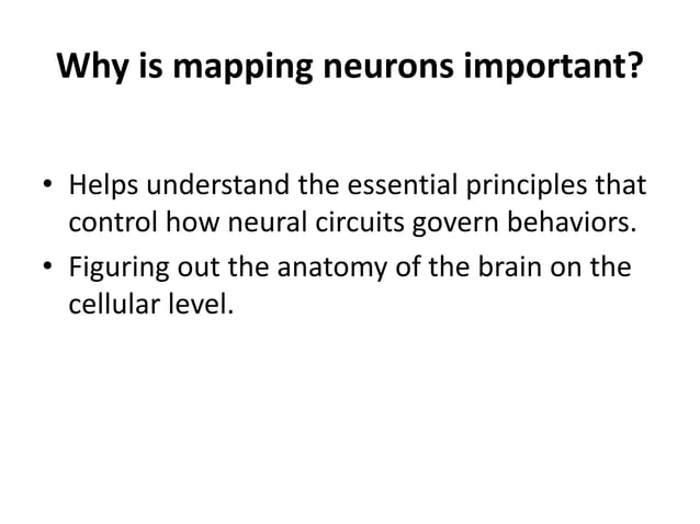 Genentech Powerpoint | PPTX
