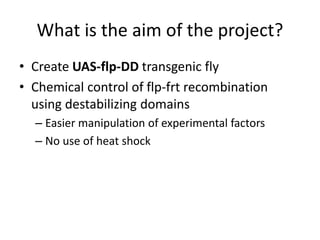 Genentech Powerpoint | PPTX
