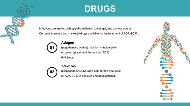 Adenosine Deaminase Deficiency | PPTX | Blood Disorders | Diseases and Conditions