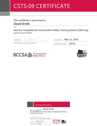 CSTS-09 Certificate | PDF