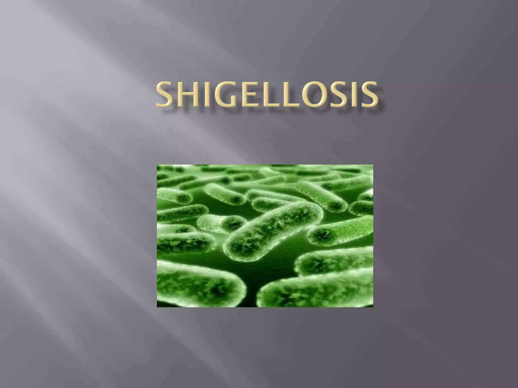 Shigellosis | PPT