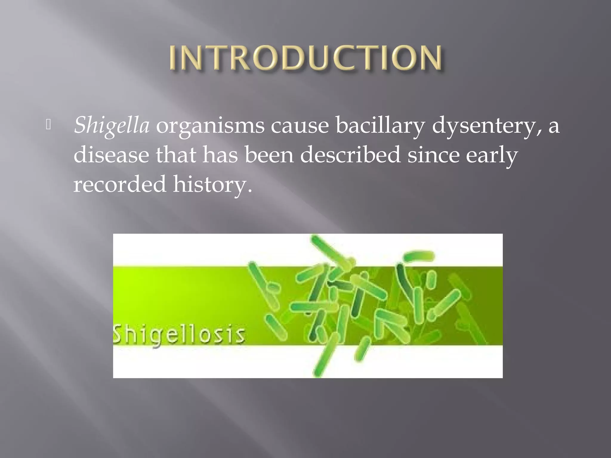 Shigellosis | PPT