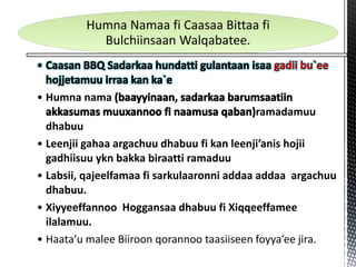 Adaamaa power point 2015 Efa (1).pptx