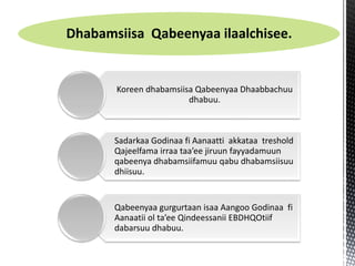 Adaamaa power point 2015 Efa (1).pptx