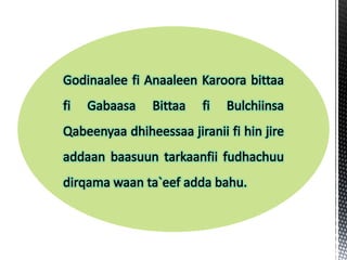 Adaamaa power point 2015 Efa (1).pptx