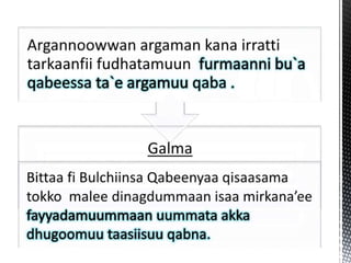 Adaamaa power point 2015 Efa (1).pptx