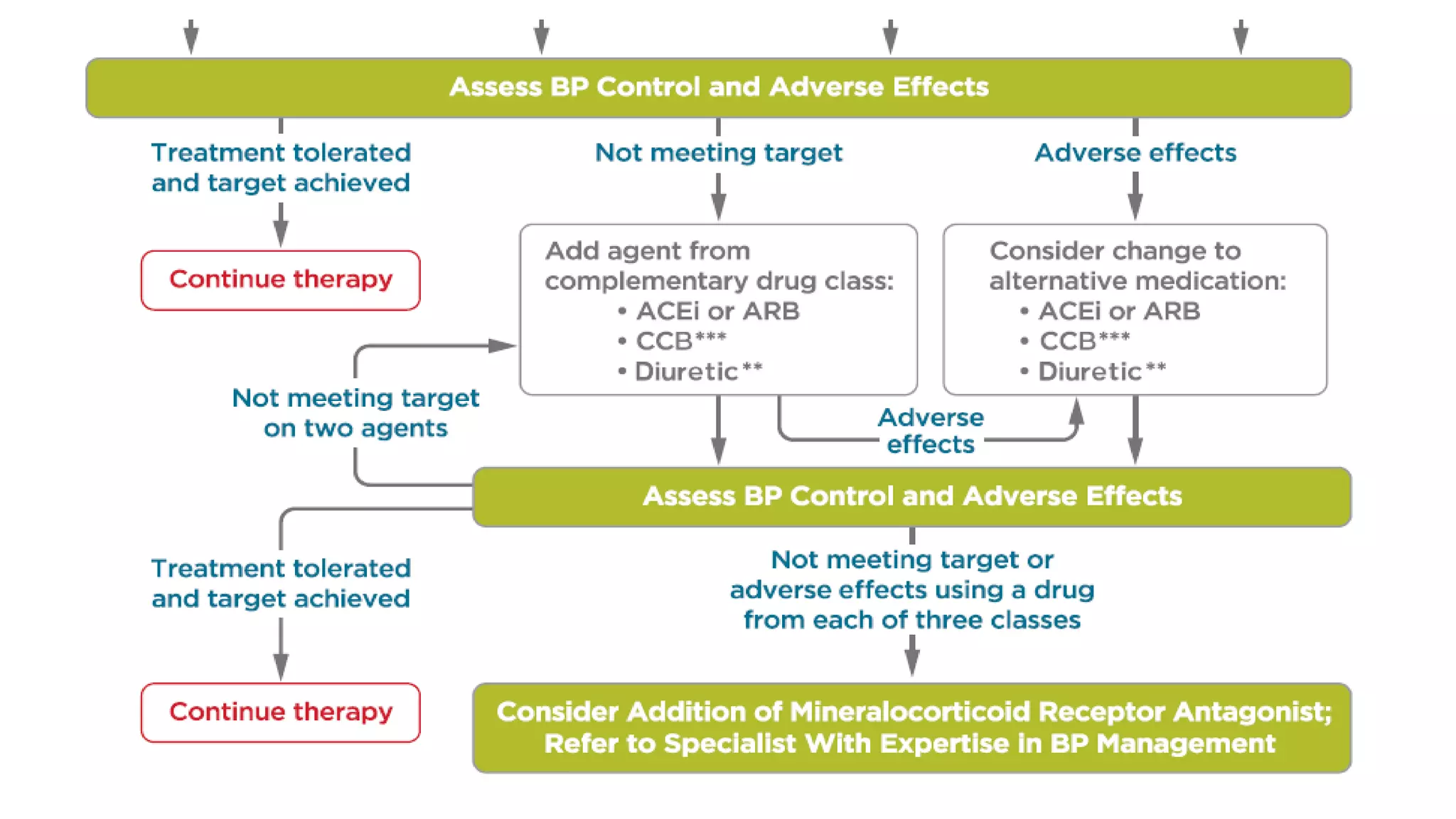 Ada guideline 2019 | PPTX