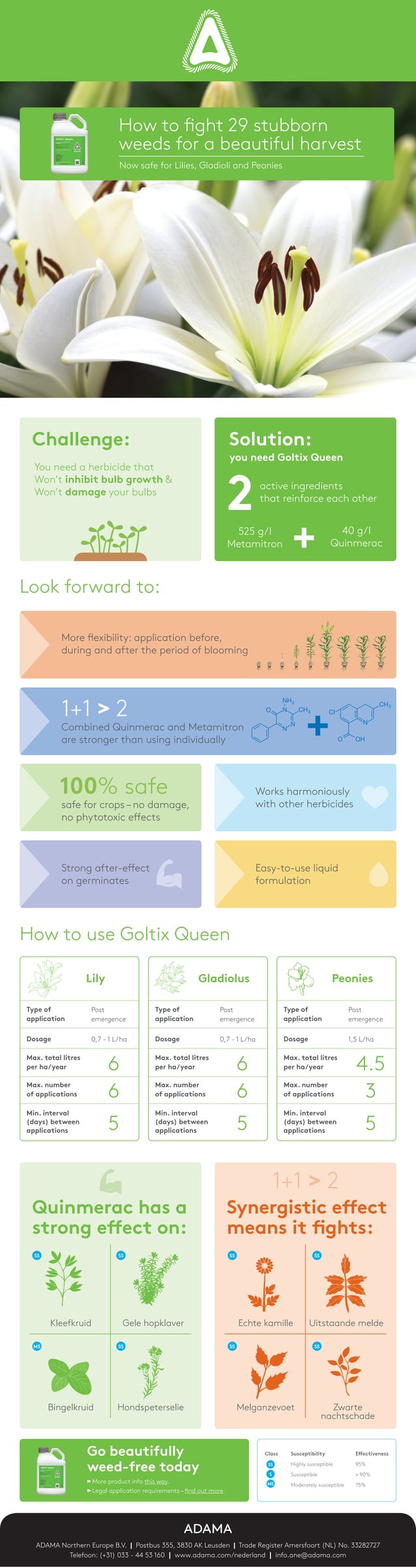Adama goltix queen infographic 8 | PDF