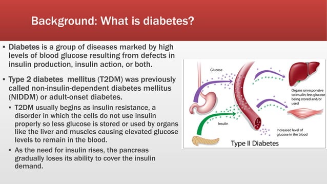 ANS Testing Device University of Miami Study Presentation | PPT