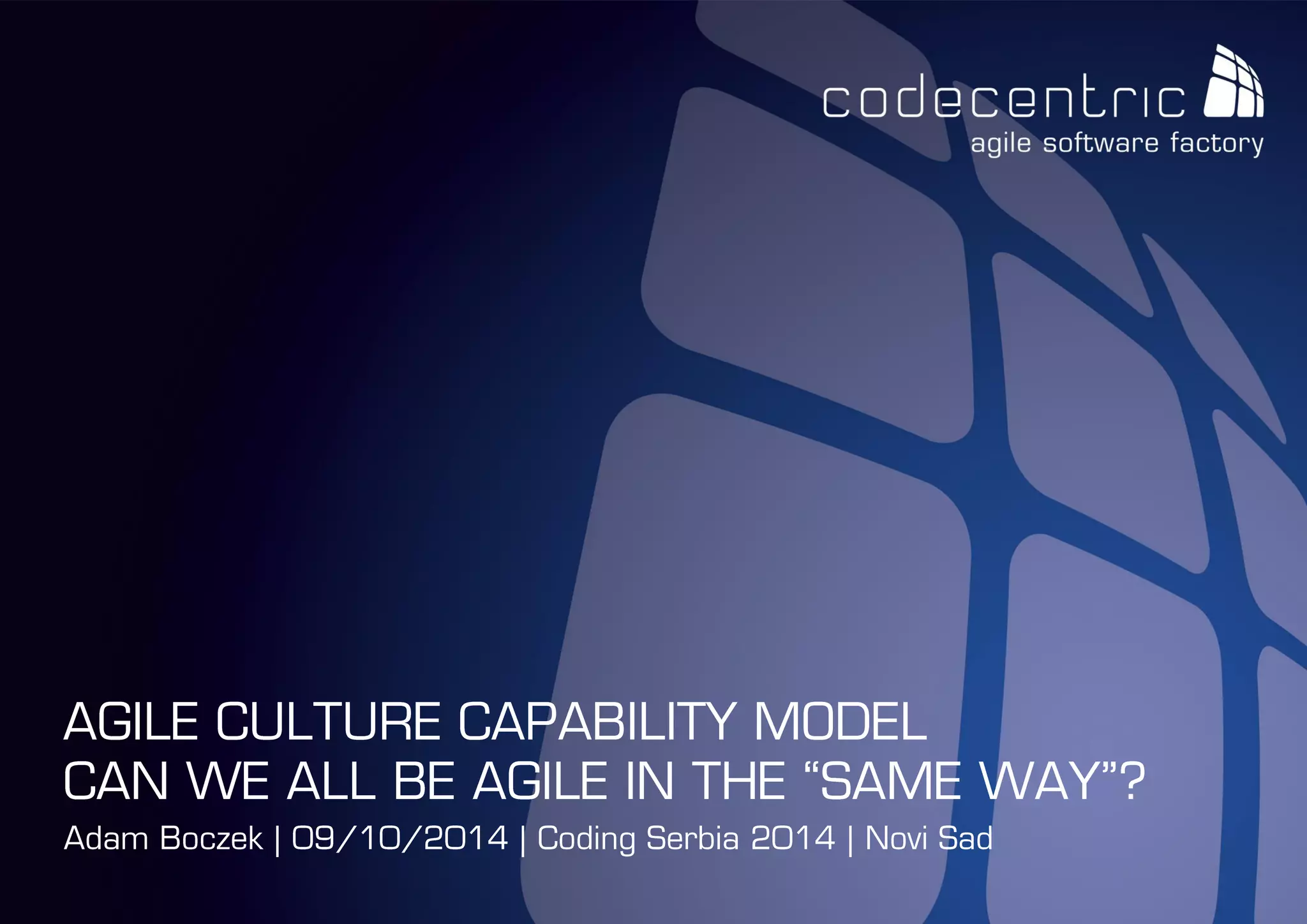 Agile Culture Capability Model or Can We All Be Agile in the “Same Way ...