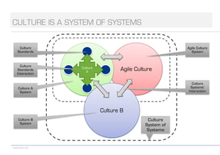 Agile Culture Capability Model or Can We All Be Agile in the “Same Way ...