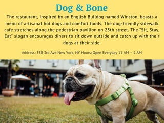 Dog Friendly Restaurants in NYC | Adam Croman | PDF | Dogs | Pets
