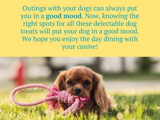 Dog Friendly Restaurants in NYC | Adam Croman | PDF | Dogs | Pets