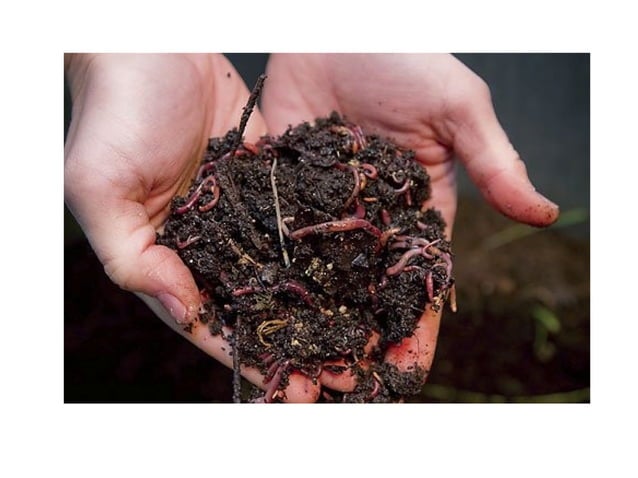 Adam Sacks - The Climate Imperative | PPT