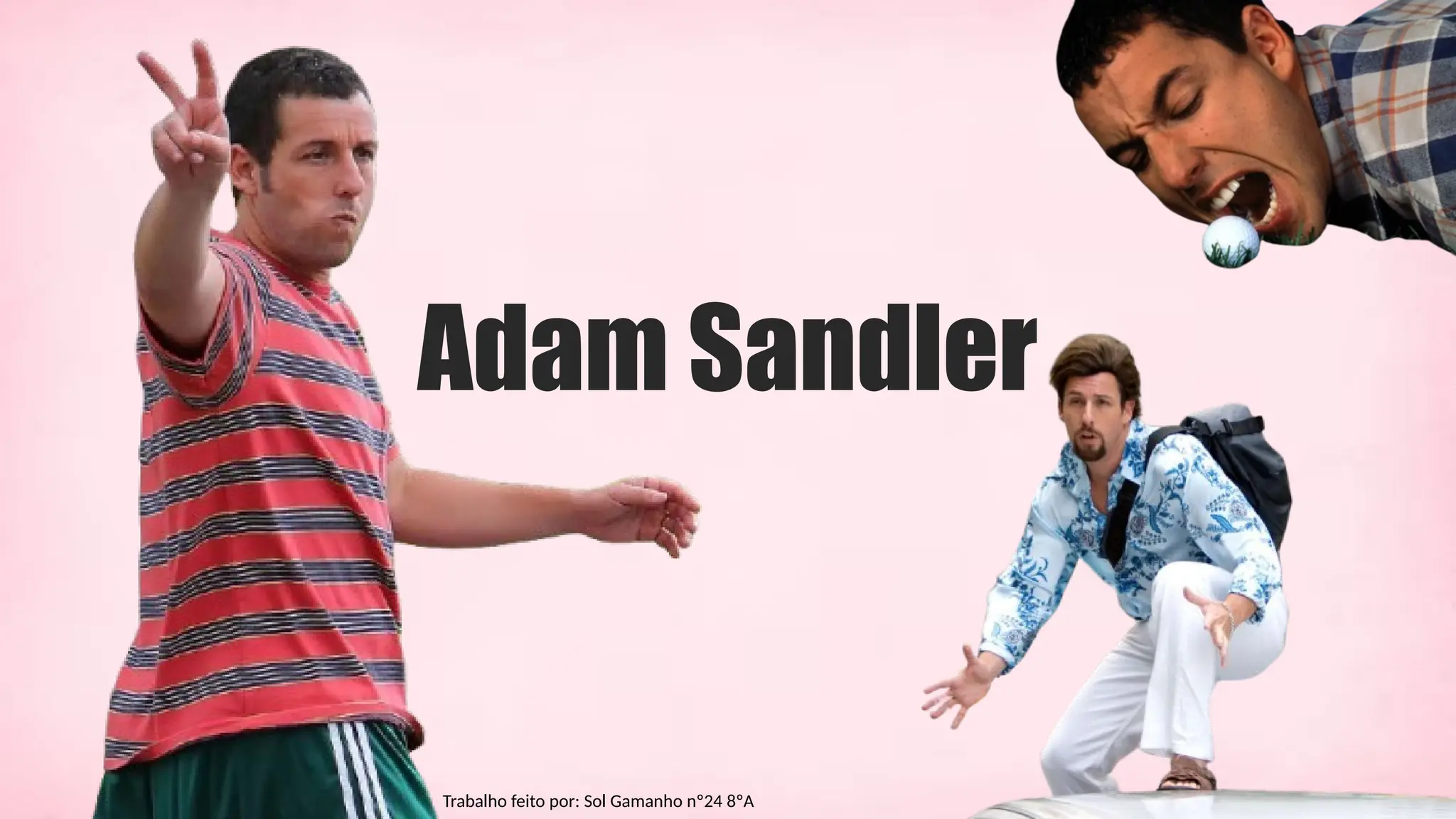 Adam Sandler(1).pptx ccc | PPT