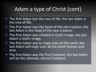 Adam’s Curse and Christ’s Cure - Romans 5:12-21 | PPTX