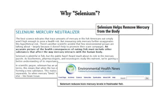 Selenium Overview - By Adam Carmi | PPTX