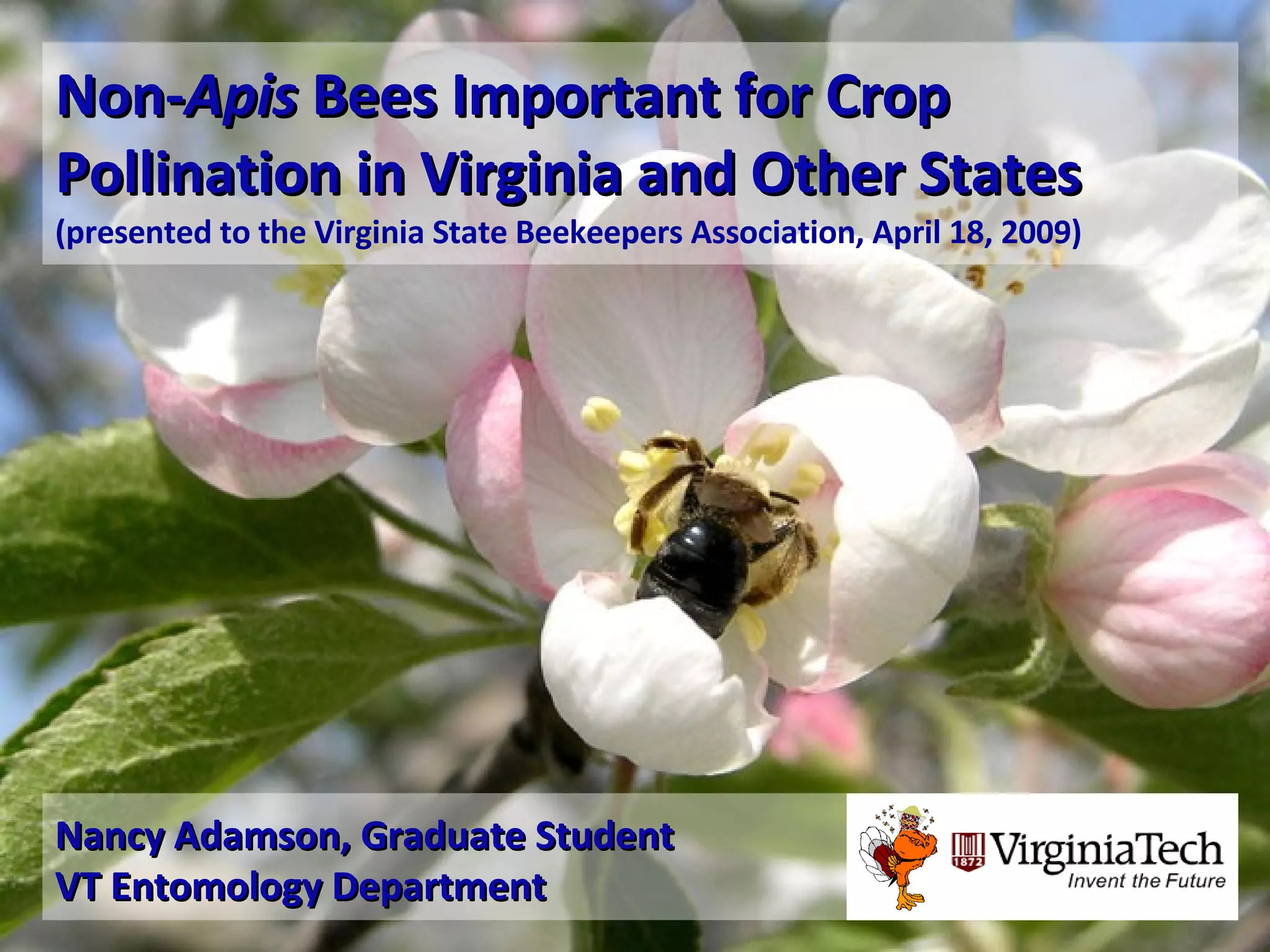 Native Bee Pollinators for Crops | PPT