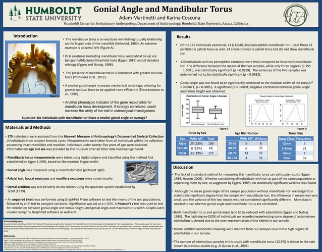 Adamsposter | PPT | Free Download