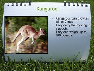 Adam S Project | PPT