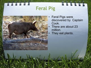 Adam S Project | PPT