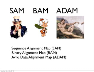 ADAM | PDF