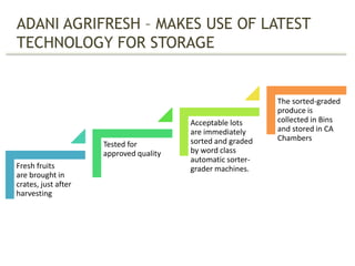 Adani Agribusiness | PPTX