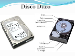 Partes Externas y Internas del Cpu | PPTX