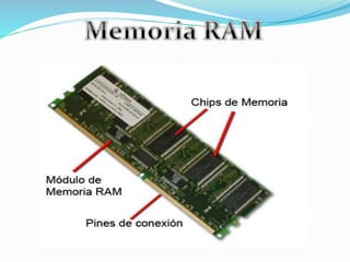 Partes Externas y Internas del Cpu | PPTX