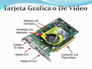Partes Externas y Internas del Cpu | PPTX