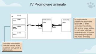 Adapost de animale.pptx